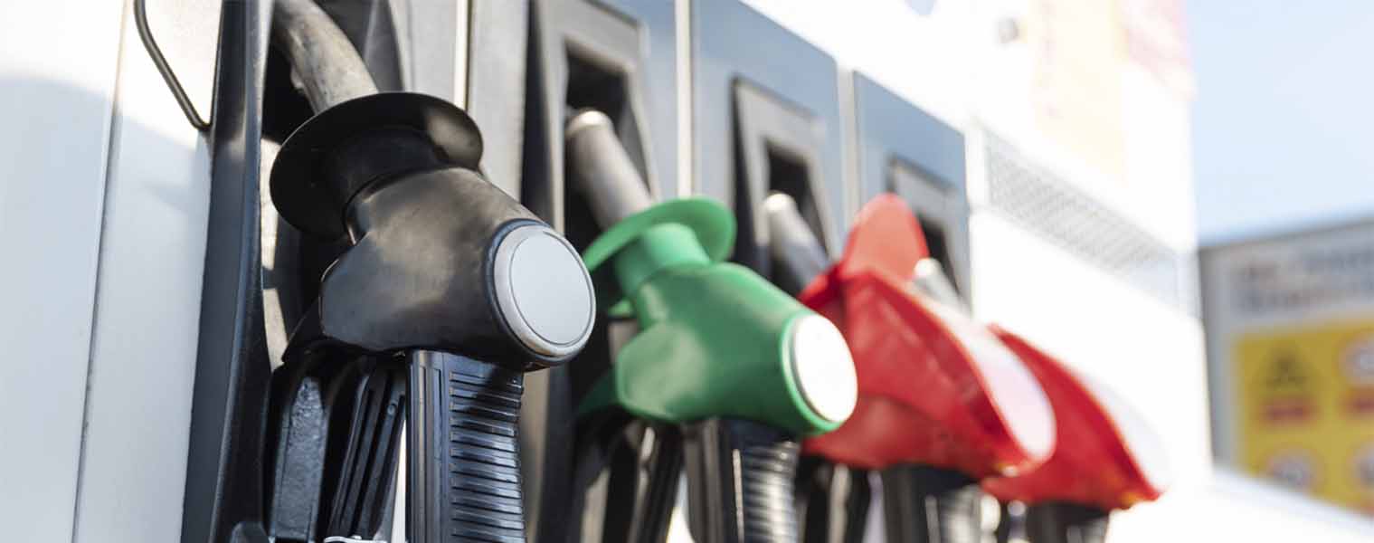 SERVICIO TEMASCALAPA