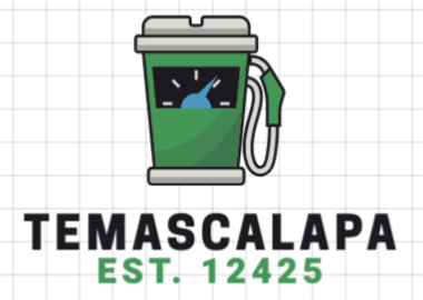 SERVICIO TEMASCALAPA